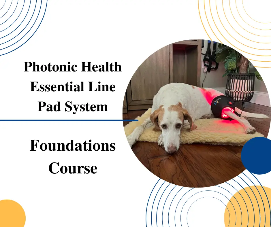 Essential Line Foundations Course • Light Therapy Education